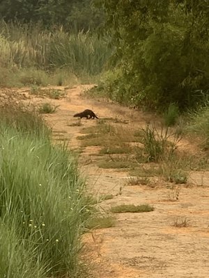 SAN JOAQUIN RIVER WILDLIFE REFUGE - Updated July 2025 - 21 Photos ...
