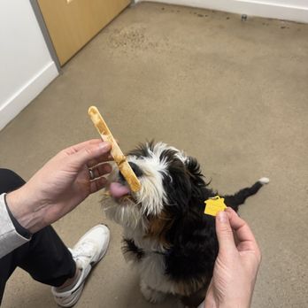 BERKELEY ANIMAL HOSPITAL - Updated May 2026 - 20 Photos & 11 Reviews ...