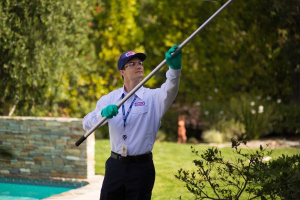 CLARK PEST CONTROL - Updated June 2025 - 52 Photos & 168 Reviews ...