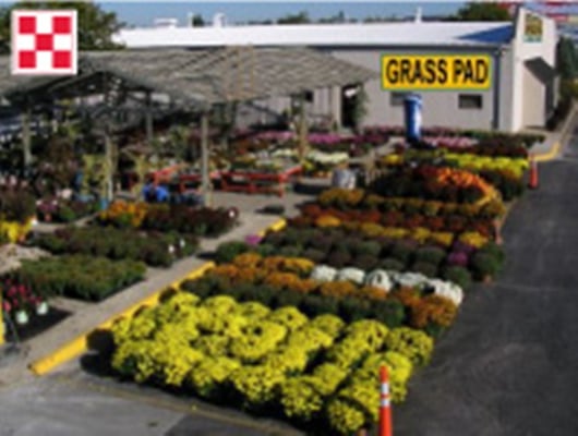 GRASS PAD - Updated January 2026 - 36 Reviews - 425 N Rawhide, Olathe ...