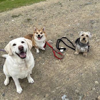 SHADOW CLIFFS REGIONAL RECREATION AREA - Updated January 2026 - 259 ...