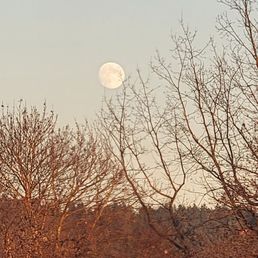 Oxbow Urban Kitchen - Trusted Since 2023 - Updated July 2025 - 193 ...