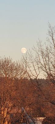 OXBOW URBAN KITCHEN - Updated December 2025 - 207 Photos & 216 Reviews ...