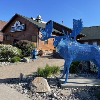 THE BLUE MOOSE BAR & GRILL - Updated March 2025 - 237 Photos & 280 ...