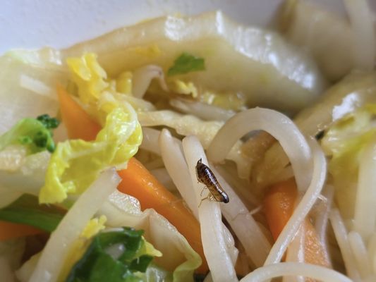 HALAL HUNAN VILLAGE TYSONS - Updated December 2025 - 39 Photos & 77 ...