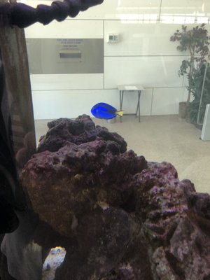 APACHE JUNCTION PUBLIC LIBRARY - Updated November 2025 - 21 Reviews ...