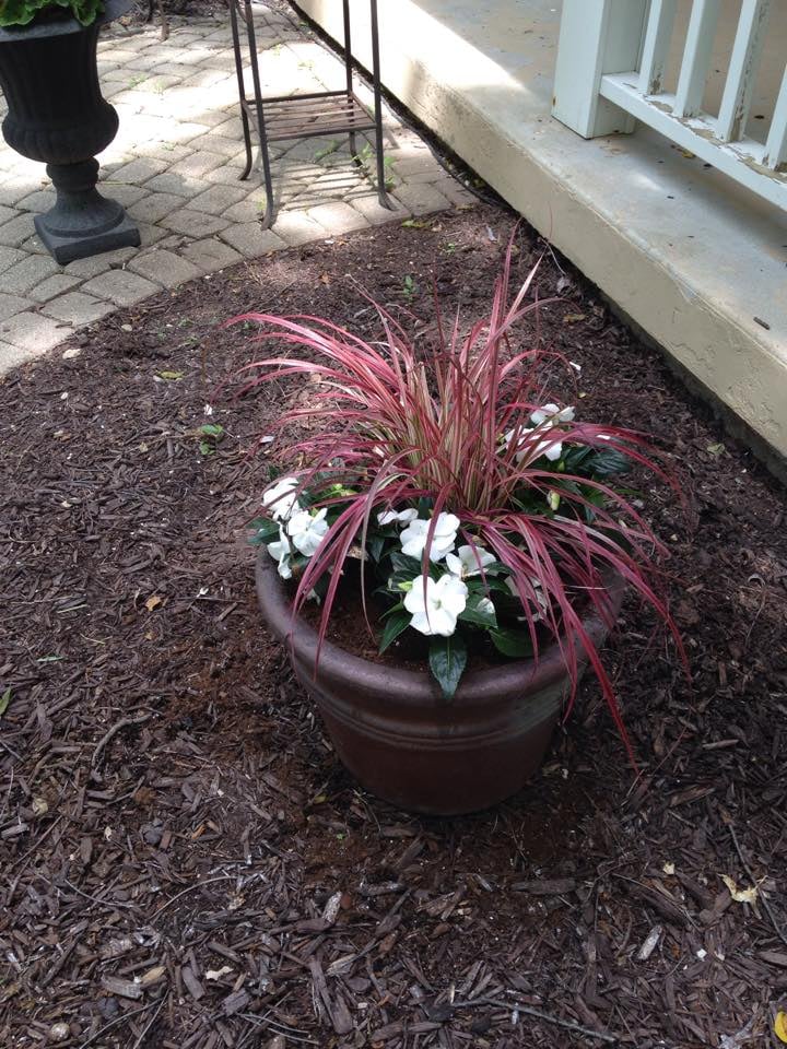 MADTOWN GREENERY - Madison, Wisconsin - Landscaping - Phone Number - Yelp