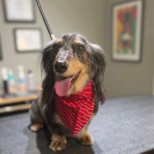 VROC - Updated October 2025 - Request Consultation - 13805 N Fm 620 ...