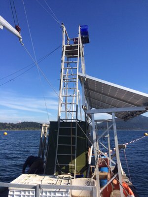 LUMMI ISLAND WILD - Updated May 2026 - 16 Photos - 3131 Mercer Ave ...