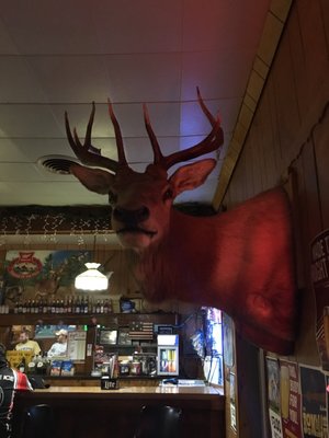 HALDER BRIDGE BAR - Updated October 2025 - 3917 W County Road C ...