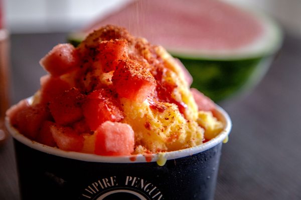 VAMPIRE PENGUIN - TWIN HICKORY - Updated August 2025 - 203 Photos & 69 ...