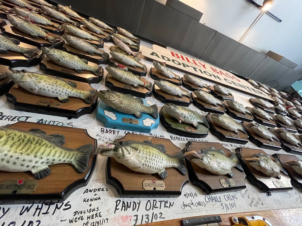 FLYING FISH - 824 Photos & 748 Reviews - 511 President Clinton Ave ...