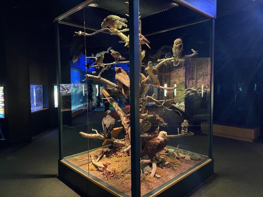 MISSISSIPPI MUSEUM OF NATURAL SCIENCE - Updated August 2025 - 229 ...