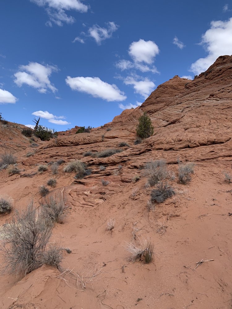 VERMILLION CLIFFS NATIONAL MONUMENT - Updated March 2025 - 49 Photos ...
