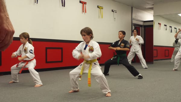 USSD FOUNTAIN VALLEY KARATE - Updated October 2025 - 13 Photos & 10 ...