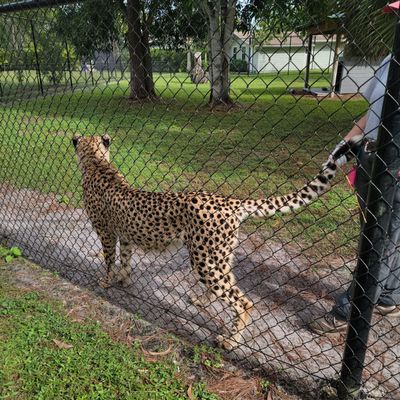 PANTHER RIDGE CONSERVATION CENTER - Updated October 2025 - 312 Photos ...
