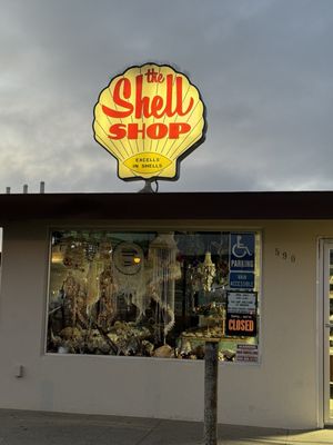 THE SHELL SHOP - Updated January 2025 - 198 Photos & 133 Reviews - 590 ...