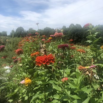 HOWARD FAMILY FARM - Updated January 2026 - 68 Photos & 12 Reviews ...