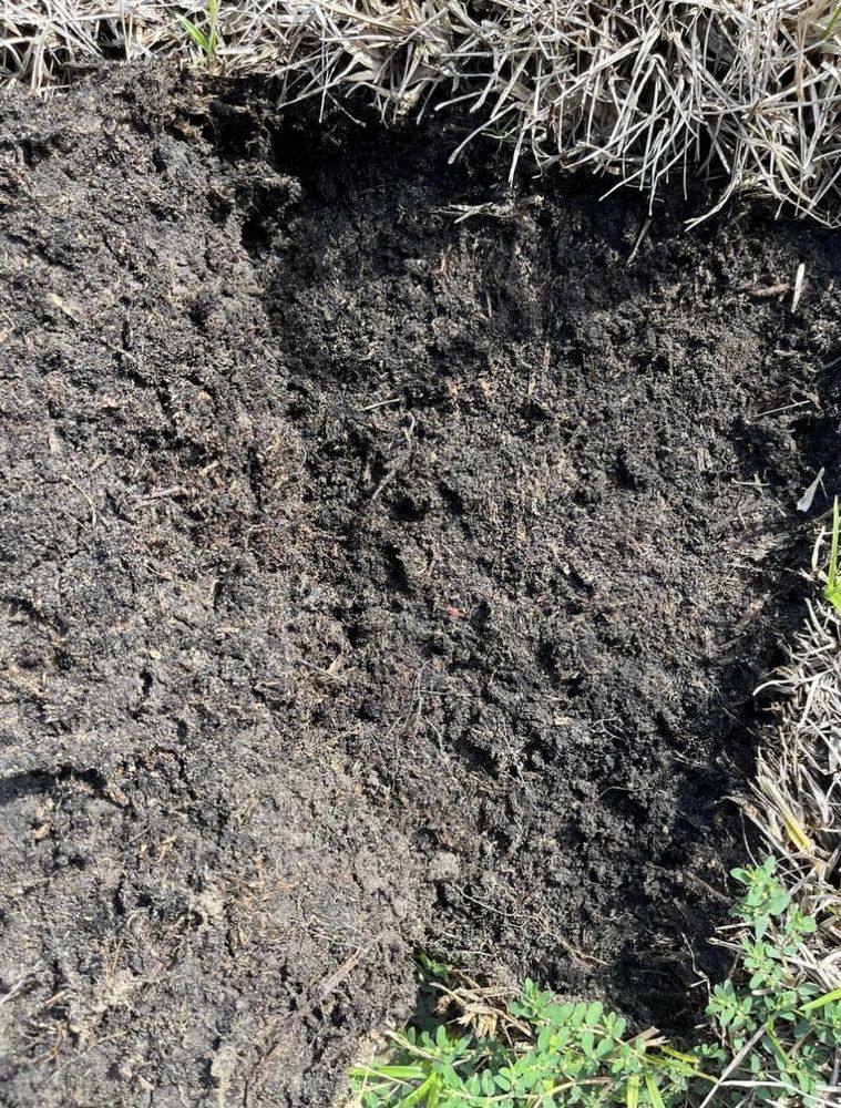 GREATEST SHOW ON TURF JAX - Jacksonville, Florida - Landscaping - Phone ...