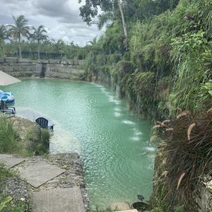 BLUE LAGOON FARM - MIAMI - 32 Photos - 14451 SW 252nd St, Homestead, FL ...