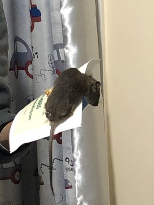 SELECT EXTERMINATING - Updated December 2025 - 59 Photos & 34 Reviews ...