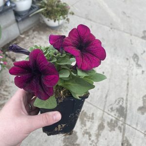 GRAINGER INDUSTRIAL SUPPLY - Updated October 2025 - 2775 S 900th W ...