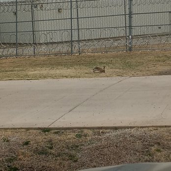 WILLIAM P. CLEMENTS UNIT - Updated October 2025 - 9601 Spur 591 ...