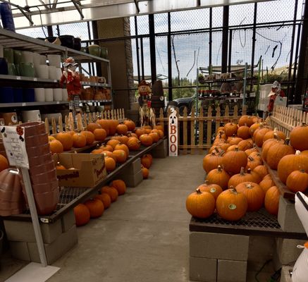 LOWE’S HOME IMPROVEMENT - Updated December 2025 - 91 Photos & 223 ...