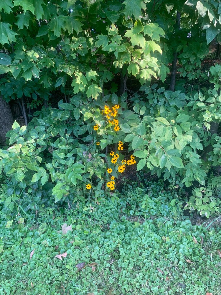 LAKE MINNETONKA LRT REGIONAL TRAIL - Updated December 2024 - Minnetonka ...