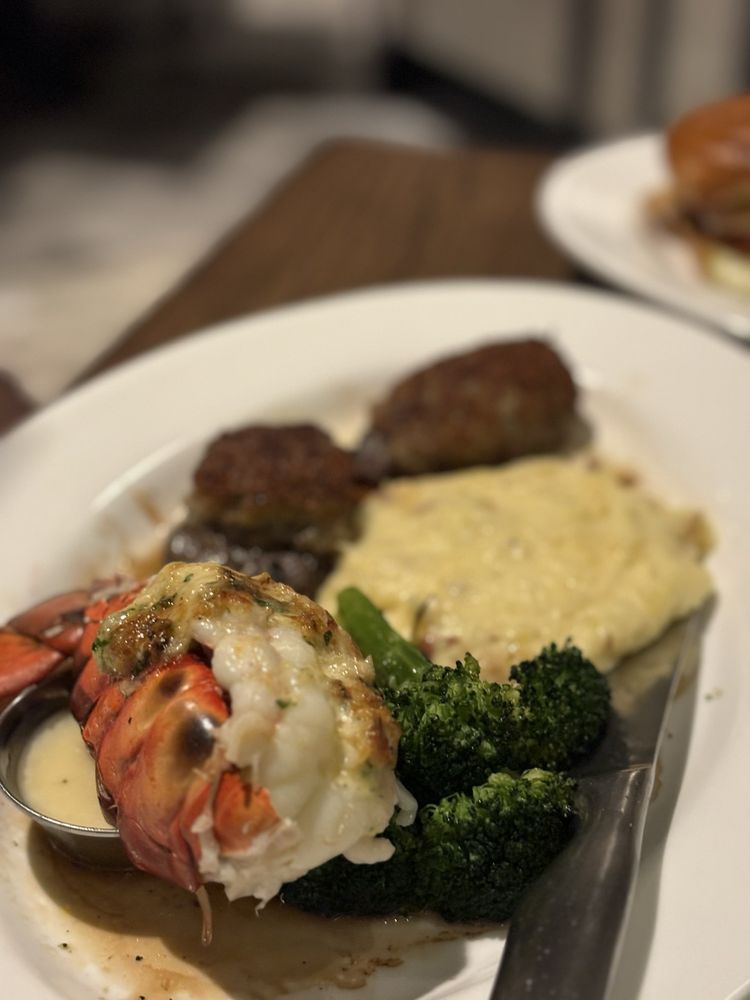 COOPER’S HAWK - WESLEY CHAPEL - Updated October 2024 - 325 Photos & 166 ...