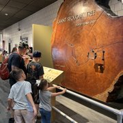 MUSEUM OF SCIENCE - 1245 Photos & 751 Reviews - 1 Science Park, Boston ...