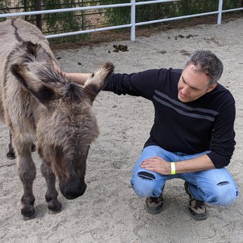 THE GENTLE BARN - Updated June 2025 - 725 Photos & 380 Reviews - 15825 ...