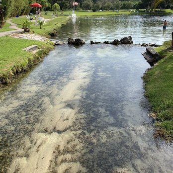Warm Mineral Springs - 151 Photos & 51 Reviews - Hot Springs - 12200 ...