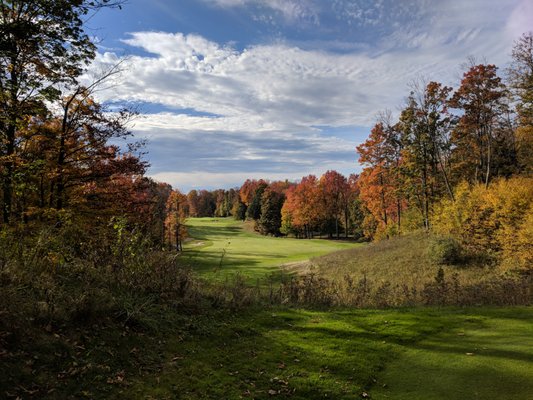 THE CHIEF GOLF COURSE - Updated October 2025 - 17 Photos & 14 Reviews ...