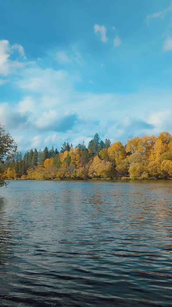 RIVERSIDE STATE PARK - 68 Photos & 17 Reviews - 9711 W Charles Rd ...