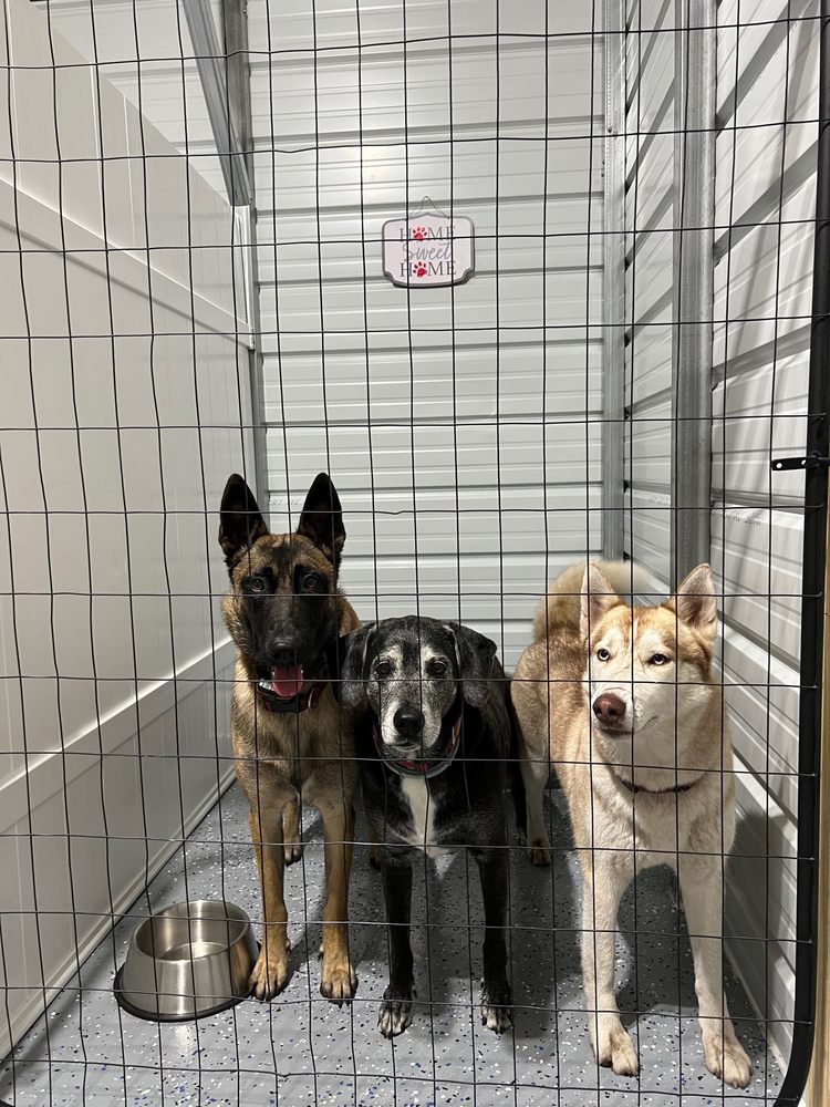 AMAZONIA PAWS - Updated June 2024 - Request Information - Palm City ...