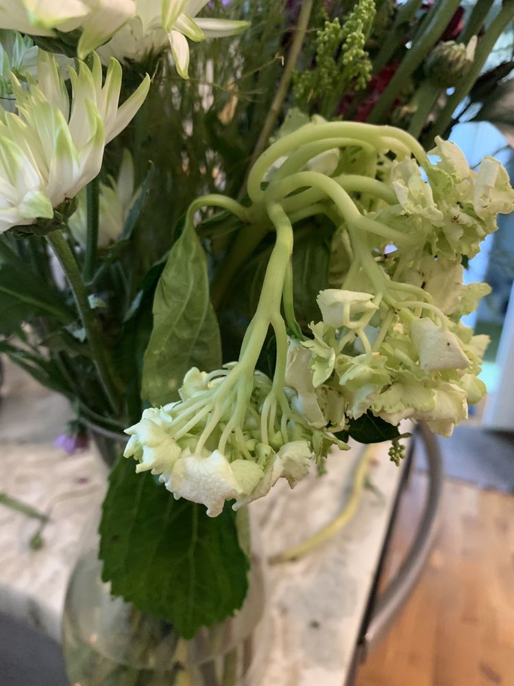 FLOWERAMA MOBILE - Updated December 2024 - 25 Photos & 15 Reviews ...