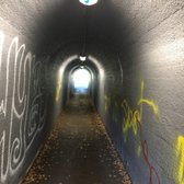 CODORNICES PARK - 159 Photos & 153 Reviews - 1201 Euclid Ave, Berkeley ...