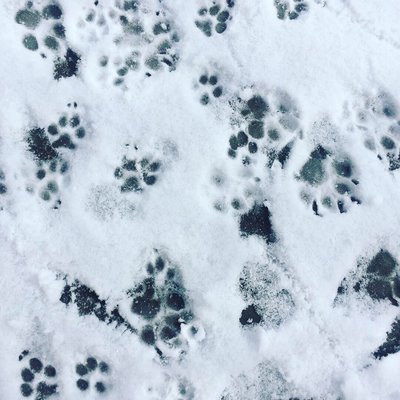 UNM NORTH GOLF COURSE - Updated September 2025 - 34 Photos & 16 Reviews ...