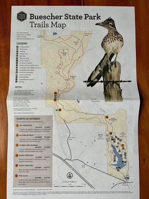 BUESCHER STATE PARK - Updated October 2025 - 62 Photos & 16 Reviews ...