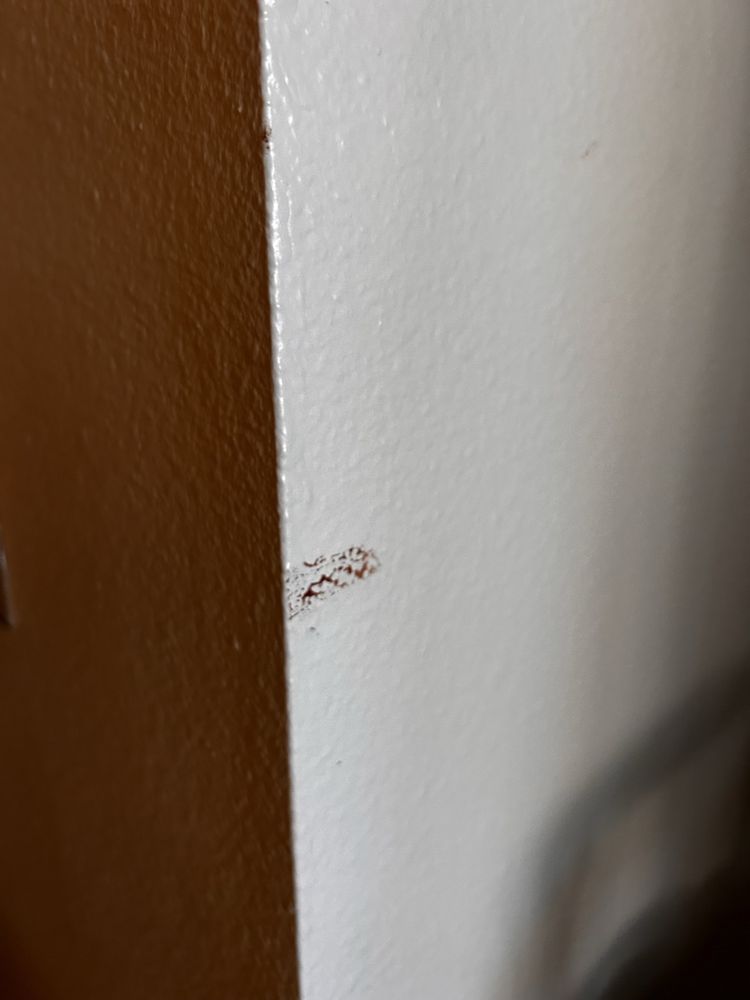 LEMON TREE INN - Updated August 2024 - 267 Photos & 361 Reviews - 2819 ...