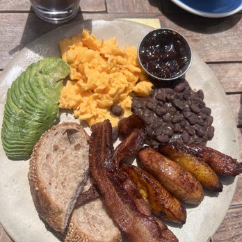 FIG TREE VENICE - Updated October 2025 - 1199 Photos & 748 Reviews ...