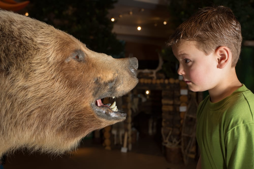 GALLOWAY STATION MUSEUM - Updated October 2024 - 223 - 55th Street ...