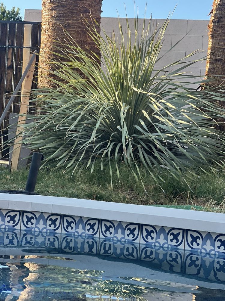 GARZA POOLS - Updated October 2025 - 18 Photos & 15 Reviews - 4975 N ...