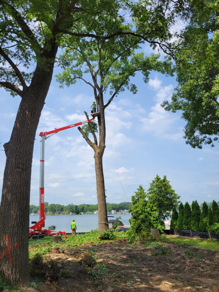 RECON TREE SERVICE - Updated January 2025 - 5429 E Lovejoy Rd ...