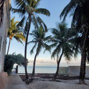 KEY WEST DOG BEACH - 34 Photos & 23 Reviews - Vernon St And Waddell Ave ...