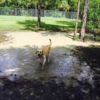 PALM BAY REGIONAL DOG PARK - Updated December 2025 - 21 Photos & 12 ...
