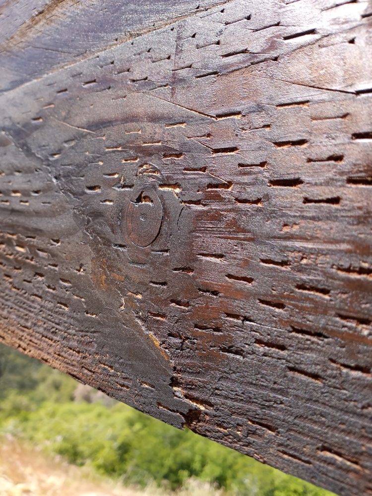 ECONOMY LUMBER COMPANY - Updated December 2025 - 15 Photos & 100 ...