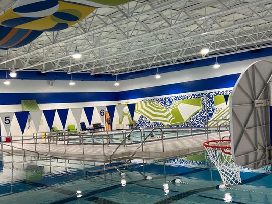 BRITISH SWIM SCHOOL AT THE AQUATIC CENTER AT WILLOW VALLEY - Updated ...