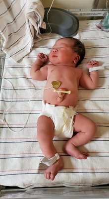 THOMAS TRI QUACH, M.D. OBGYN - Updated December 2025 - 27 Photos & 74 ...